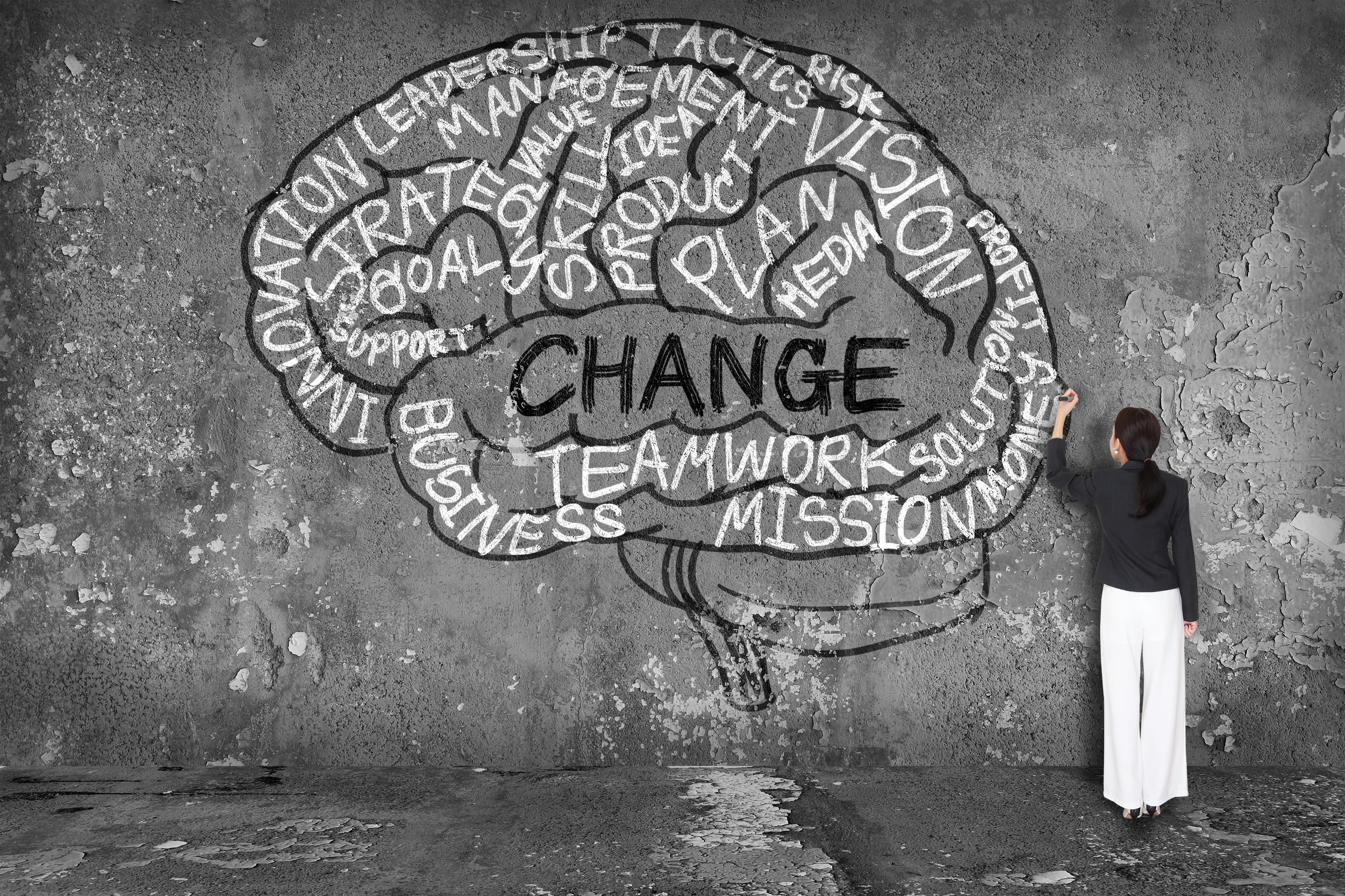 Future Proof Brain - Projecten